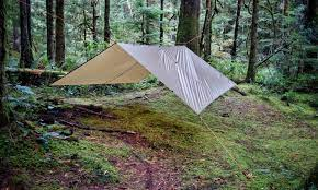 Training – Physical Skills – Tactical Wisdom