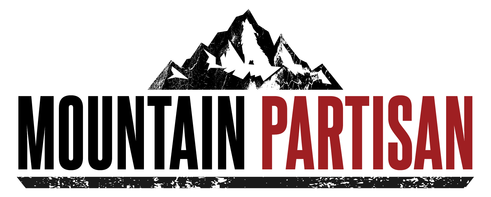 New Training Classes – Tactical Wisdom