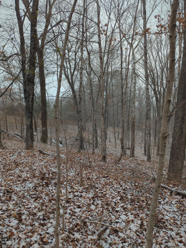 Course AARs – Tactical Wisdom